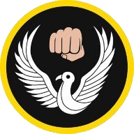 Wado Ryu Logo Jersey Wado Ryu – Traditional Karate, Modern Teaching